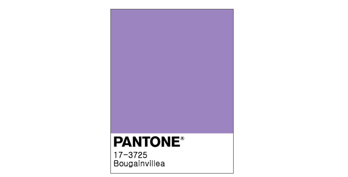 FABULOUS COLOR! 팬톤페인트