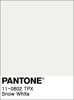 FABULOUS COLOR! 팬톤페인트