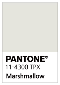 FABULOUS COLOR! 팬톤페인트